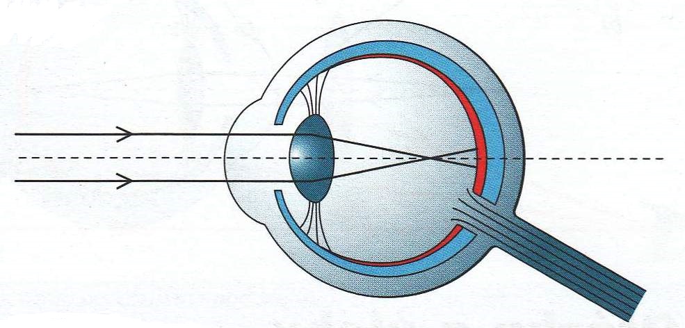 F7 – Optické vlastnosti oka | Výuka chemie, fyziky a matematiky